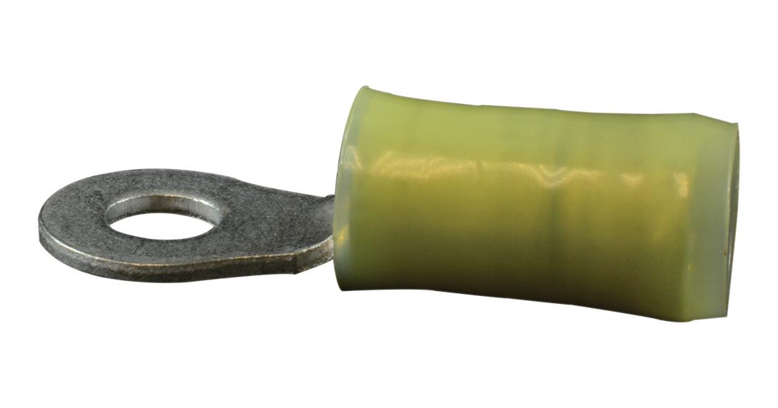 MS25036-156 - Amp - Te Connectivity - Terminal de Anillo, M4, #8